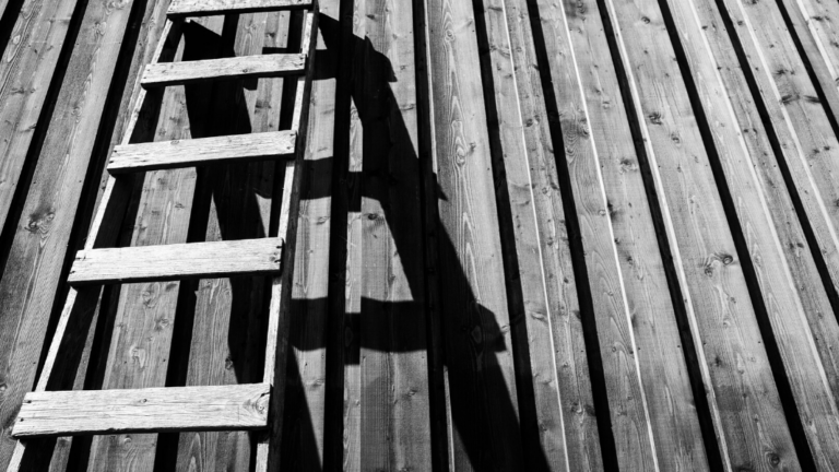 Climbing broken ladders: Women aspiring to nonprofit leadership